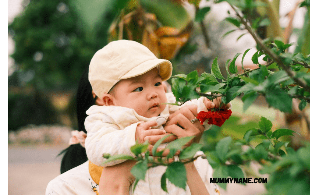 180+ Sanskrit Boy Baby Names And Their Meanings - Mummy Name
