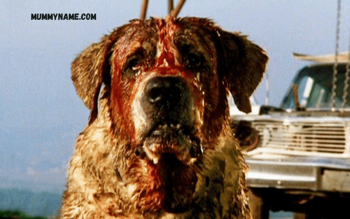 210+ The Best Scary Dog Names For Males And Females - Mummy Name